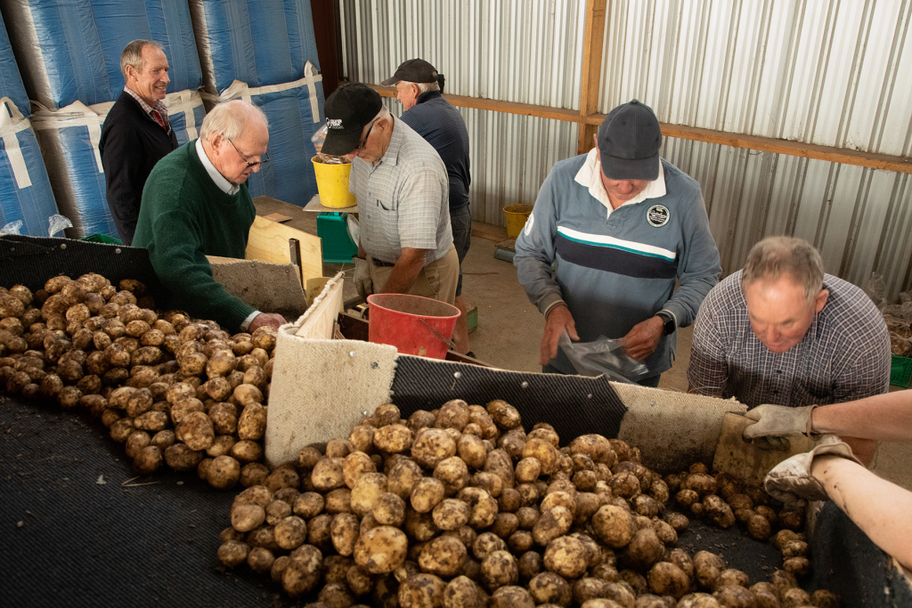 Potato Roster | Plains Rotary